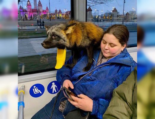 Crazy People in Public Transport - Inpic.net