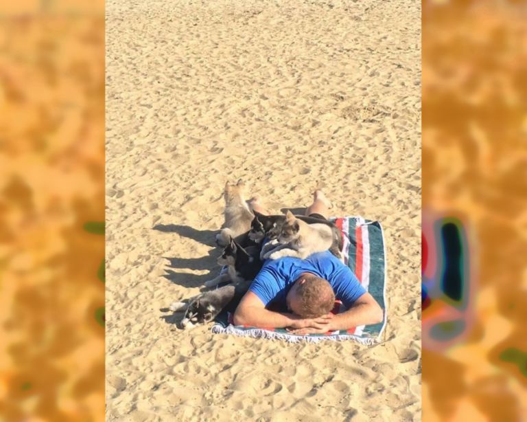 Sun, Sand, and Laughter: Funny Beach Captures - Page 13 of 30 - Inpic.net