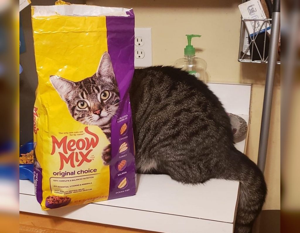 Visual Deceptions: Surprising Photos that Defy Reality - Inpic.net