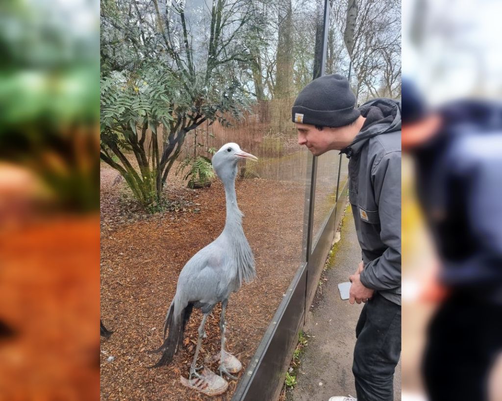 Visual Deceptions: Surprising Photos that Defy Reality - Page 2 of 30 ...