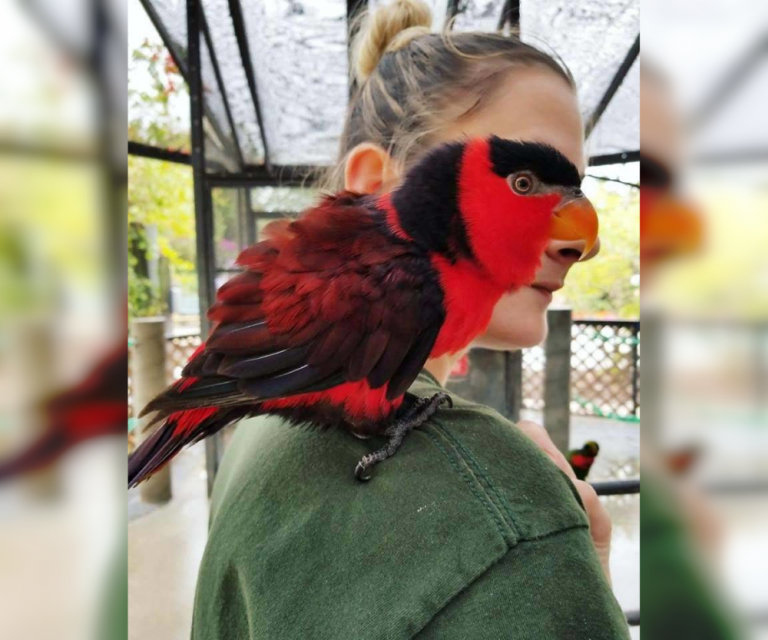 For the Perfectionist's Eye: 30 Pristine Photographs - Page 11 of 30 ...