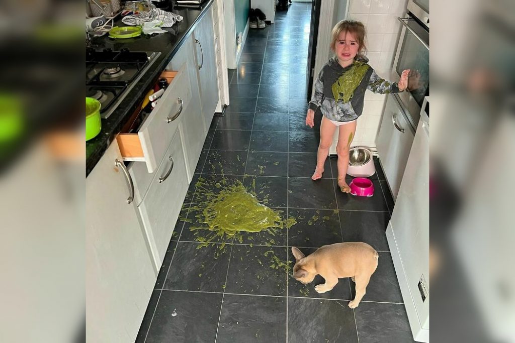 Cooking Catastrophes: 25 Funniest Moments in the Kitchen - Page 11 of ...