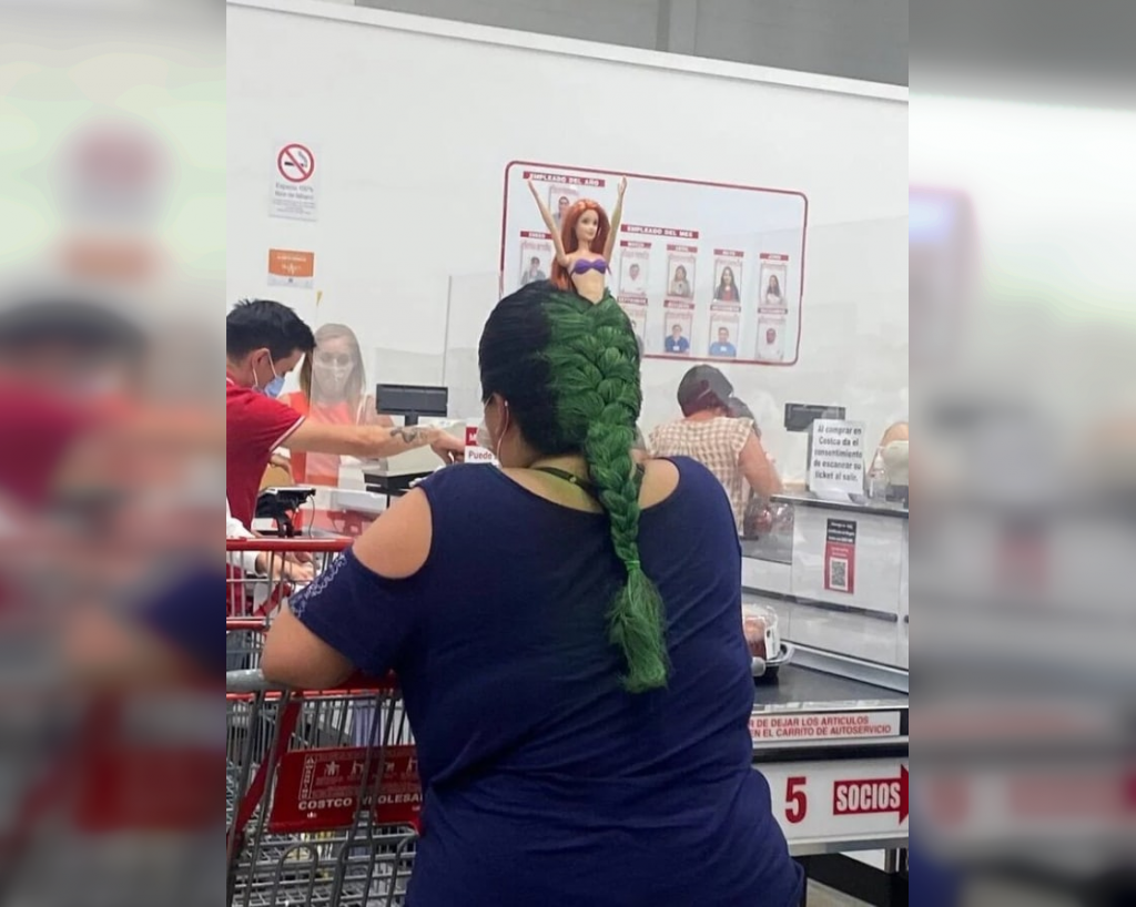 Styling Blunders: Laughable Hair Mishaps - Inpic.net